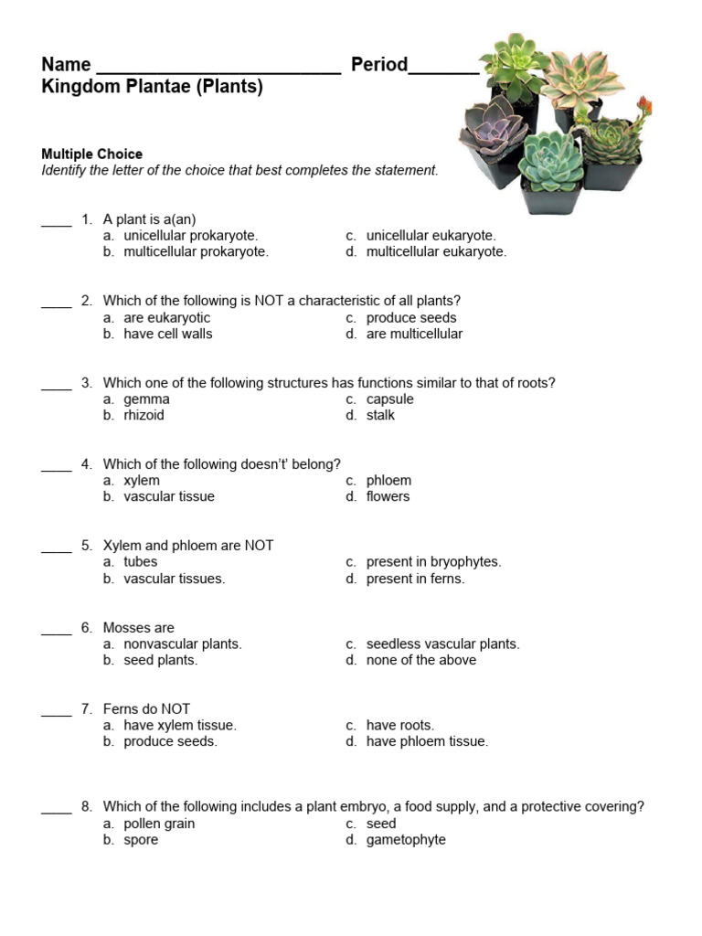 Kingdom Plantae Plants | Download Free PDF | Leaf | Plant Stem