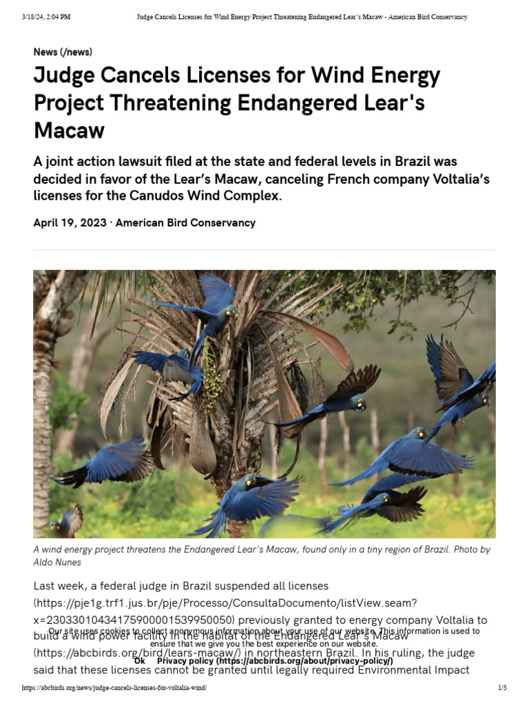 Judge Cancels Licenses For Wind Energy Project Threatening Endangered ...