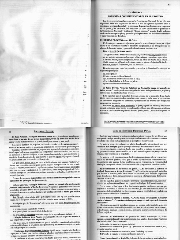 Garantias Constitucionales Proceso Penal Pdf