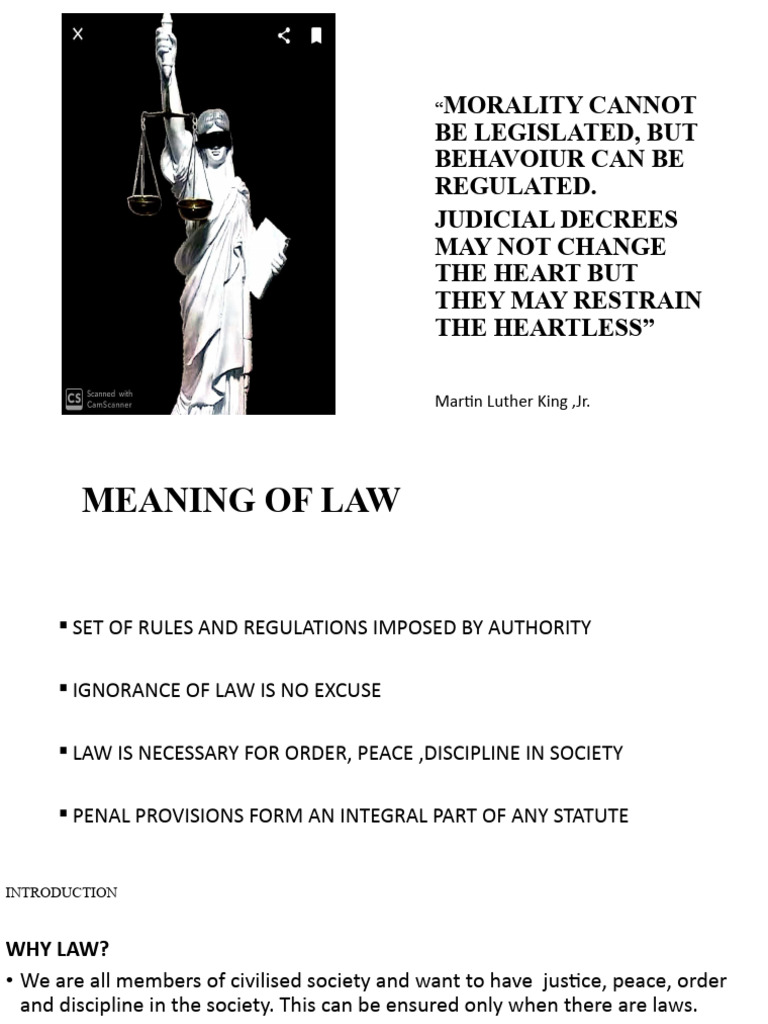 Law Basics | PDF | Judgment (Law) | Crimes