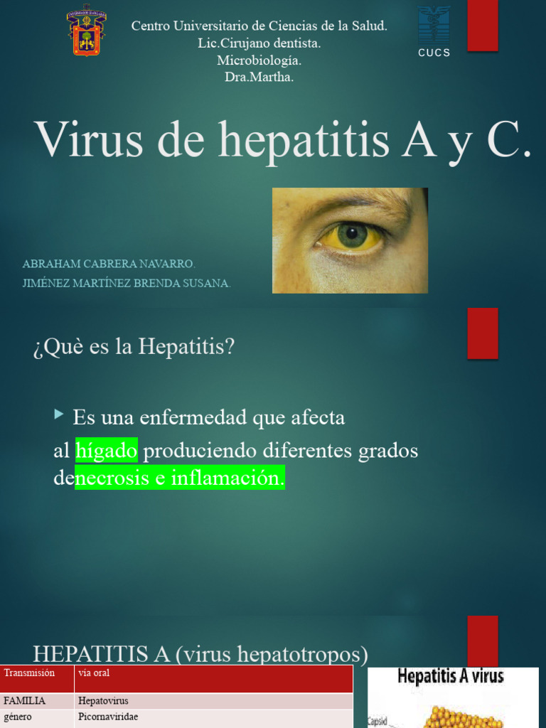 Virus de Hepatitis A y B | PDF | Hepatitis | Hepatitis C