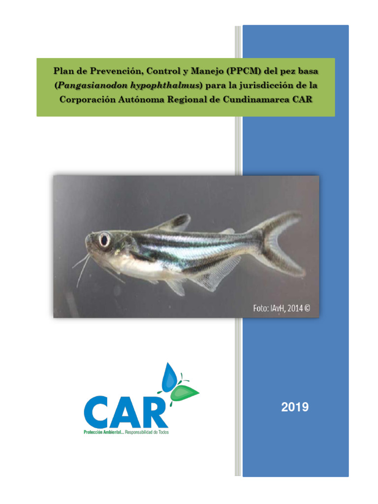PPCM del pez basa en Cundinamarca | PDF | Colombia | Especies invasivas