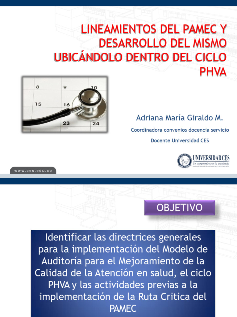 PAMEC: Mejora de Calidad en Salud | PDF | Evaluación | Auditoría