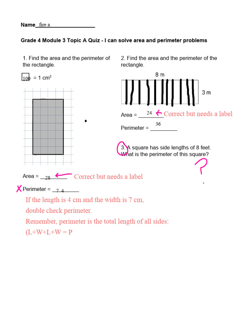 Fir? Akinfe - Module 3 Topic A Quiz | PDF