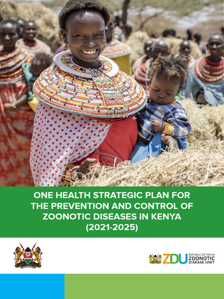 One Health Strategic Plan Kenya 2021 2025 | PDF | Health Care | Medical ...