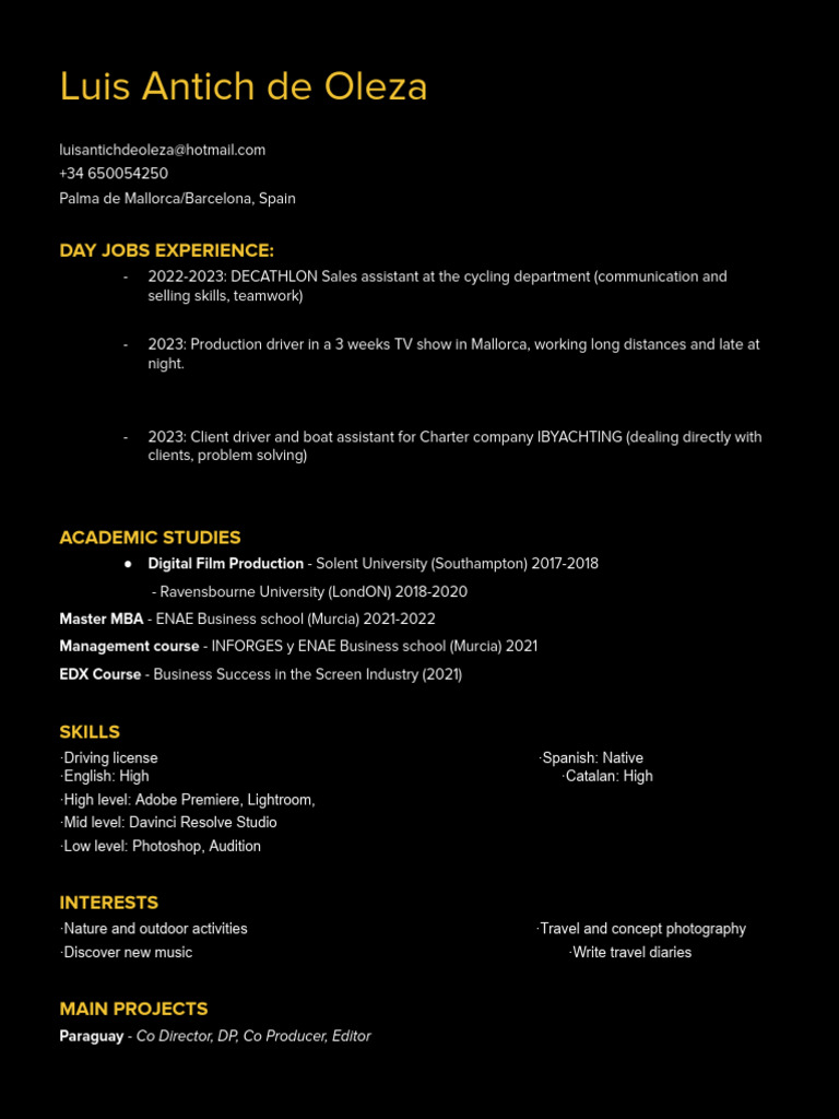 CV LUIS ANTICH Dayjob | PDF