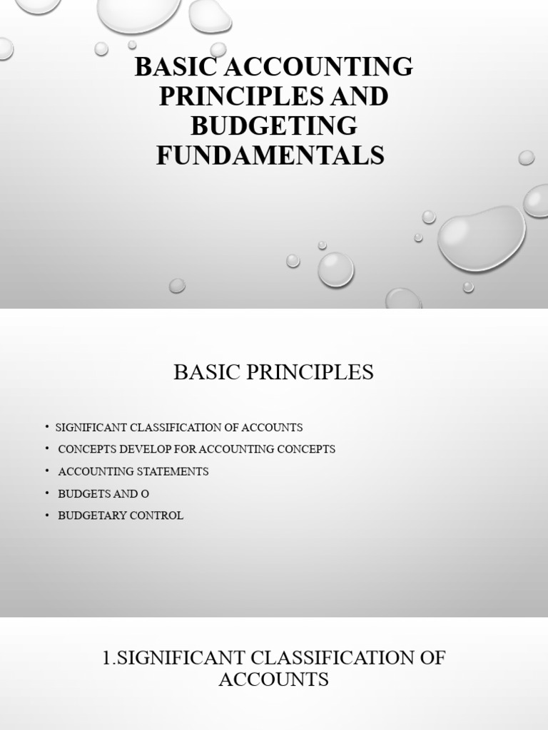 Basic Accounting Principles And Budgeting Fundamentals Pdf Balance