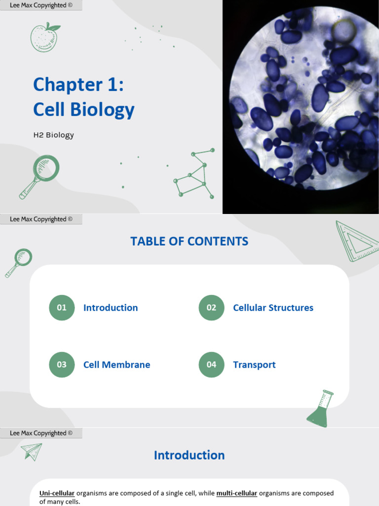 (H2 Bio) Chapter 1 Cell Biology | Download Free PDF | Cell Membrane | Cell (Biology)