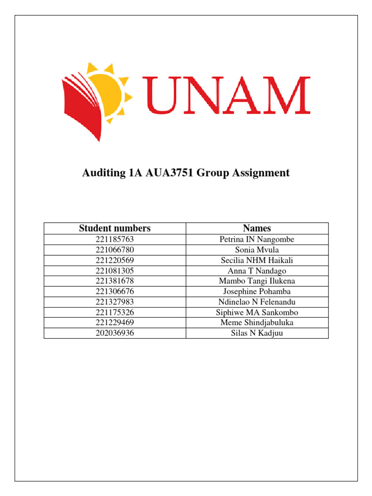 Auditing Assignment | PDF | Audit | Financial Audit