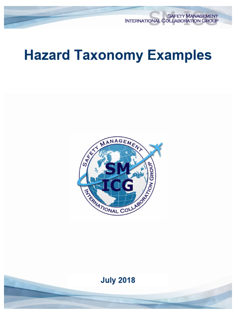 Hazard Taxonomy Examples | PDF | Airport | Air Traffic Control