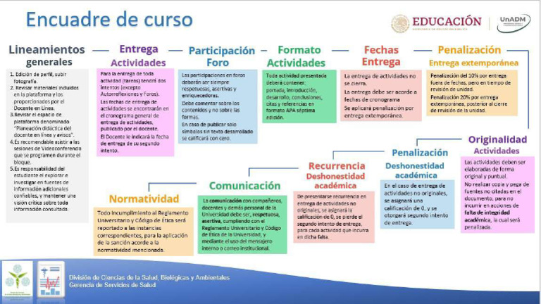 Encuadre Del Curso | PDF
