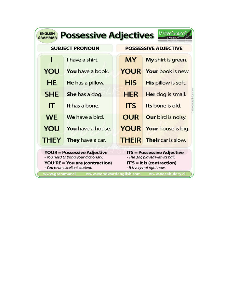 Possesive Adjectives SOLE | PDF