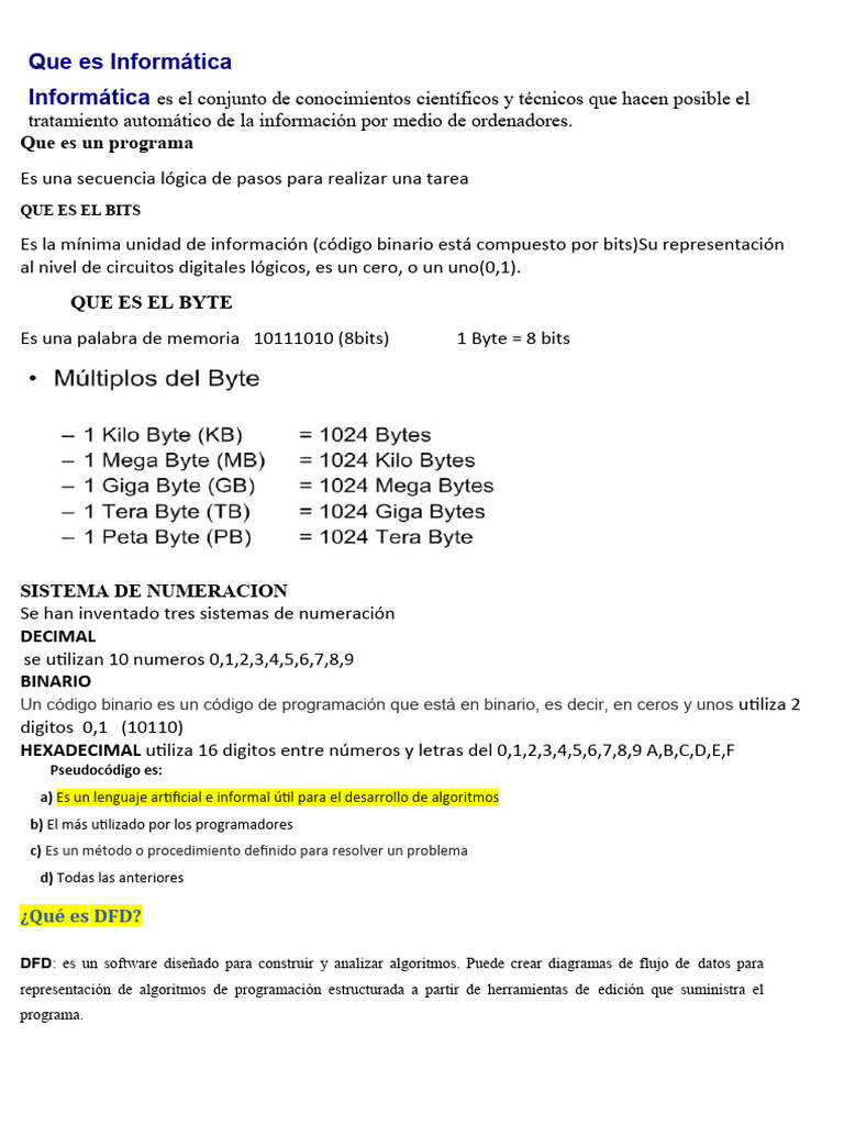 CUESTIONARIO DE PROGRAMACION 1ero TIA | PDF | Algoritmos | Programación de computadoras