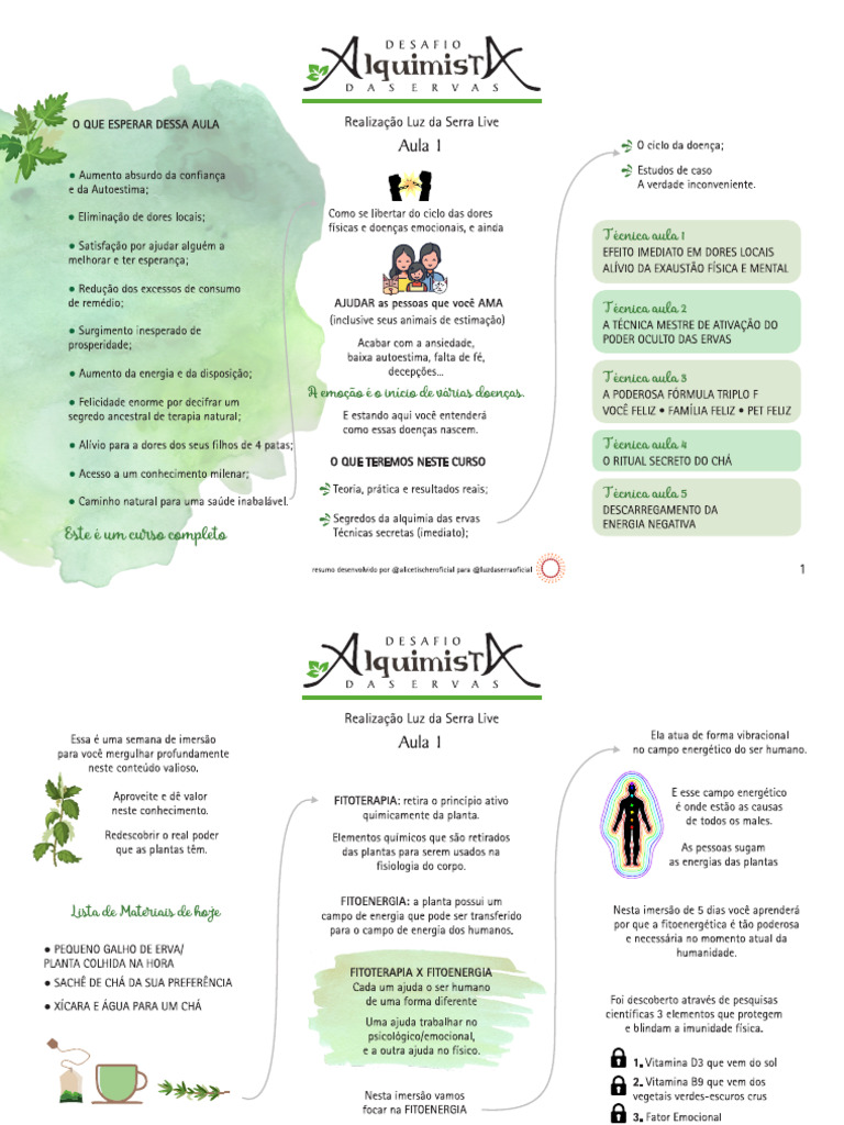 Iae Presente Aula1 | PDF