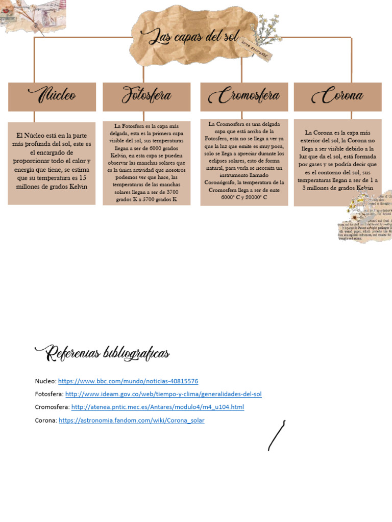 Mapa Conceptual | PDF