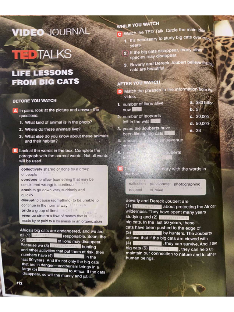 HWK 2-Video Journal | PDF