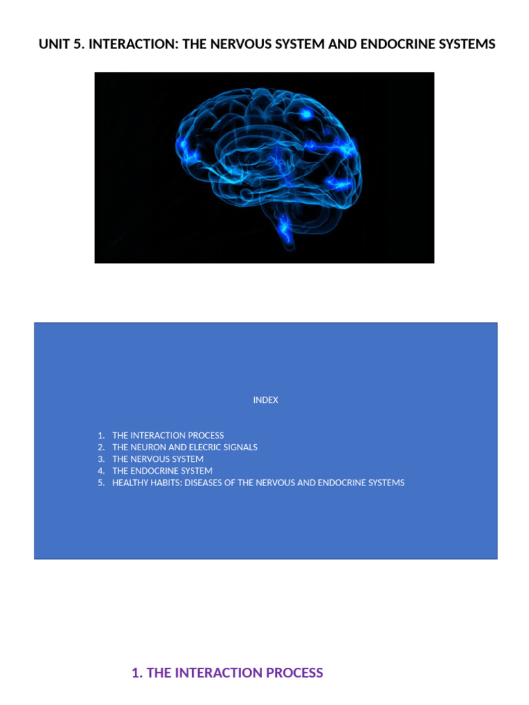 Nervous and Endocrine System Interaction | PDF | Nervous System | Neuron