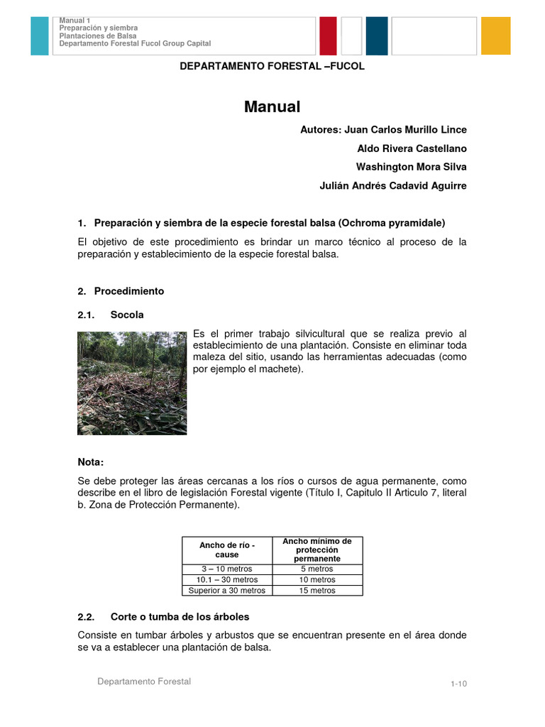 Manual Produccion Balso | PDF | Siembra | Los bosques