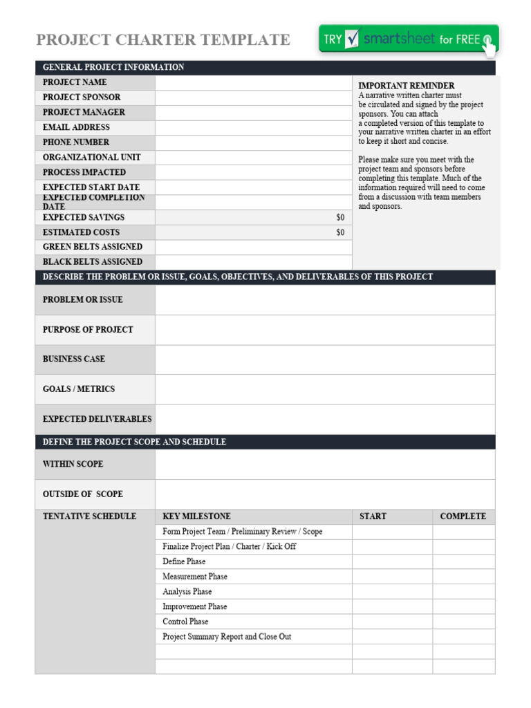 IC Project Charter Excel Template 8719 | PDF | Information ...