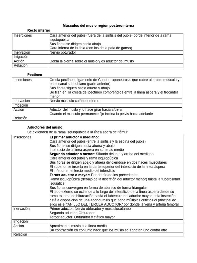 Músculos Del Muslo Región Posterointerna | PDF | Sistema ...