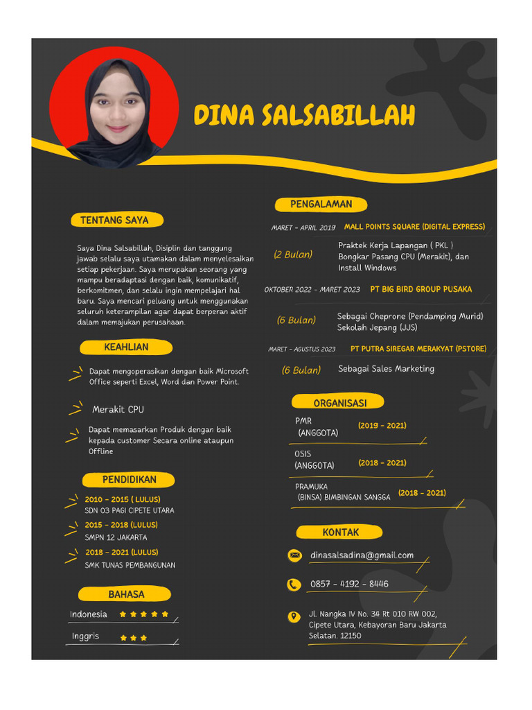 CV Dina Salsabillah | PDF