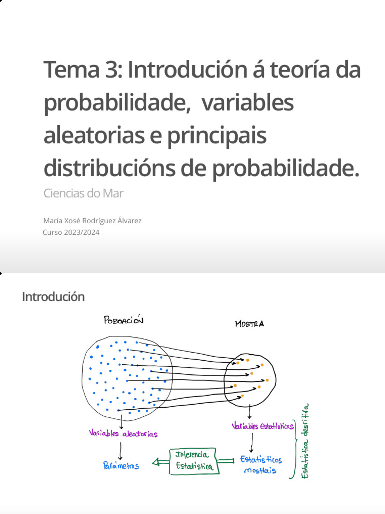 Tema 3 Probabilidade Variables Aleatorias Corrixido | PDF