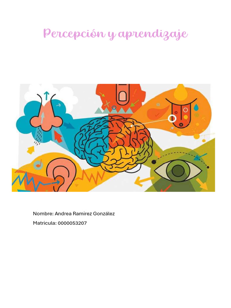 Percepción y Aprendizaje | Descargar gratis PDF | Percepción | Aprendizaje