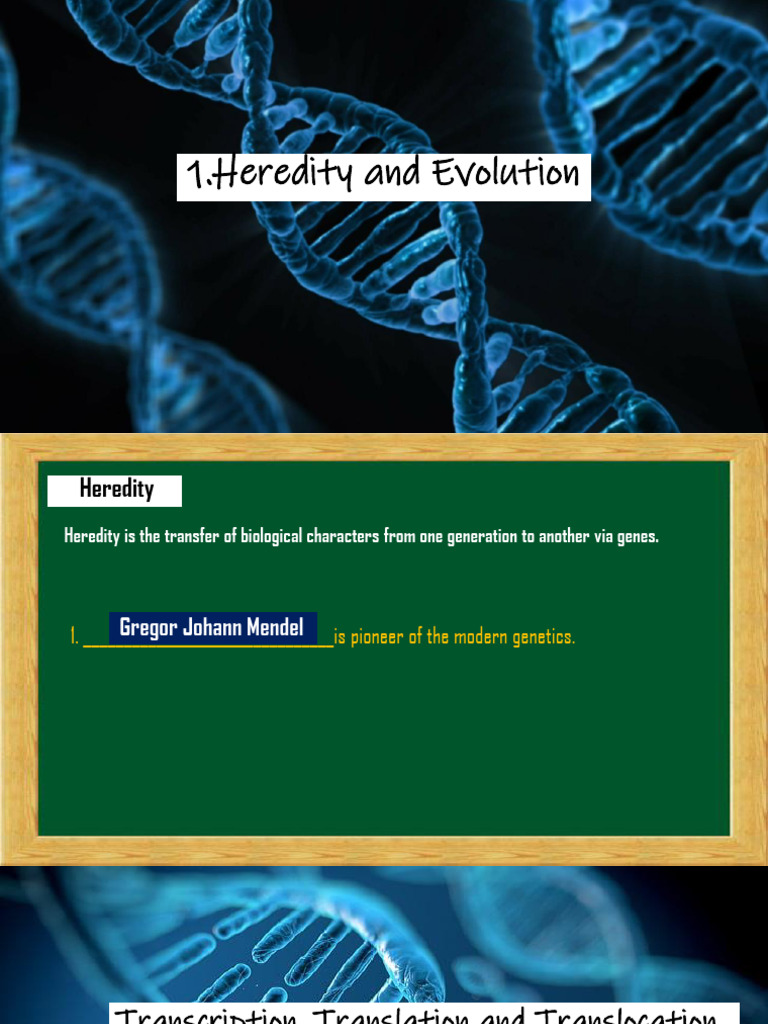 1.heredity and Evolution | PDF | Translation (Biology) | Genetic Code