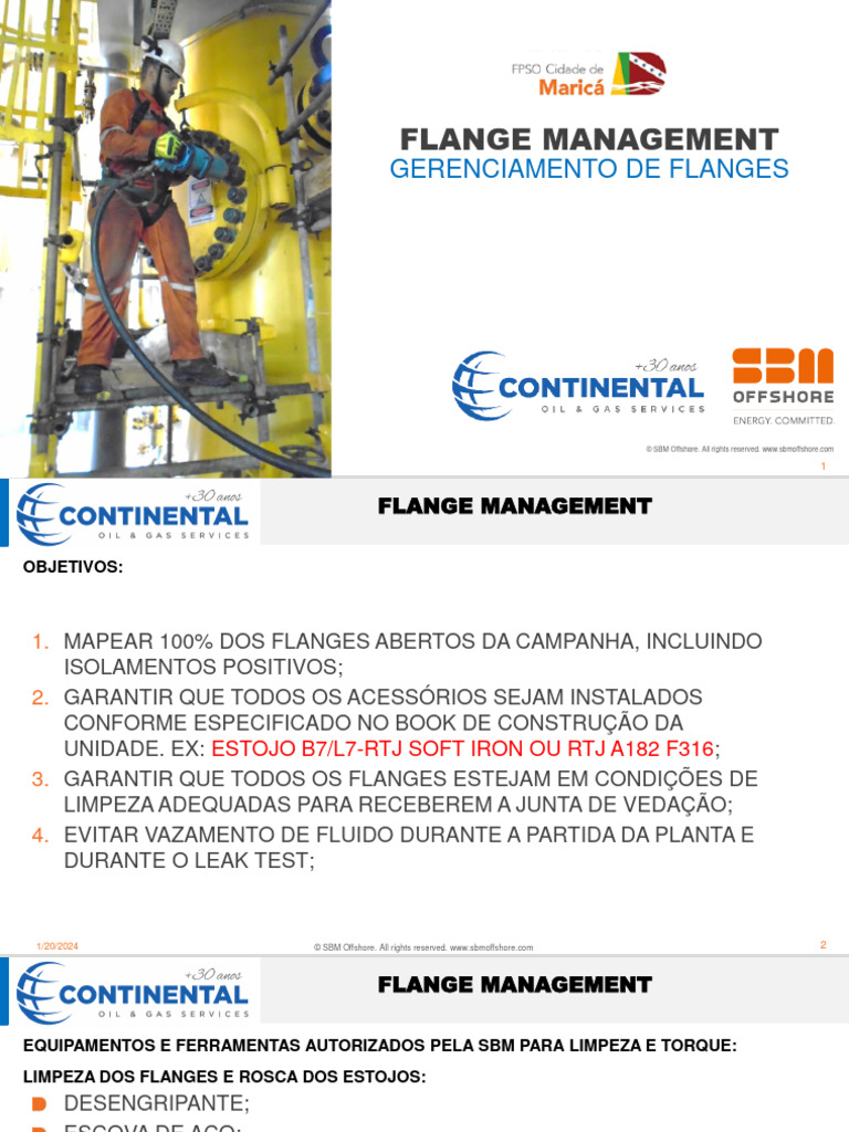 Instrução Flange Management - CDM 2024 | PDF