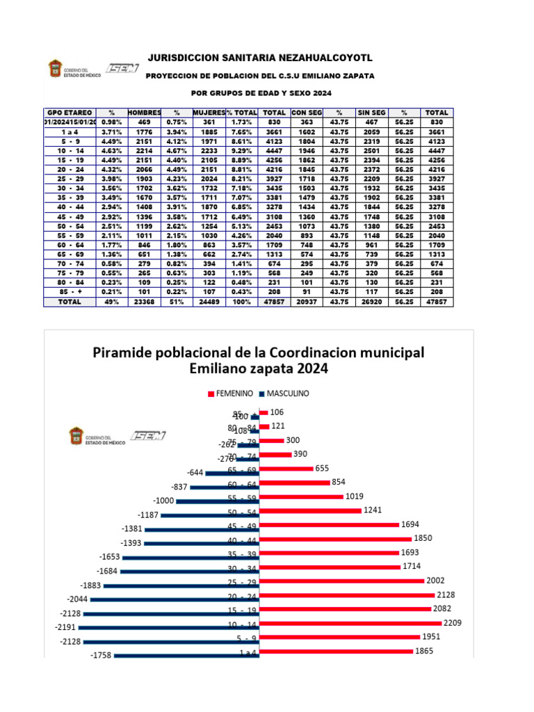 Piramide Poblacional 2024 | PDF