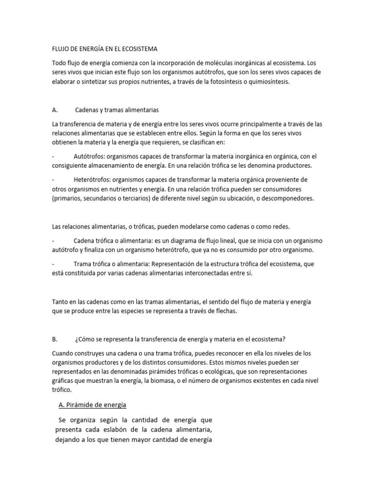 Flujo de Energía 1 | PDF | Biomasa (Ecología) | Red alimentaria