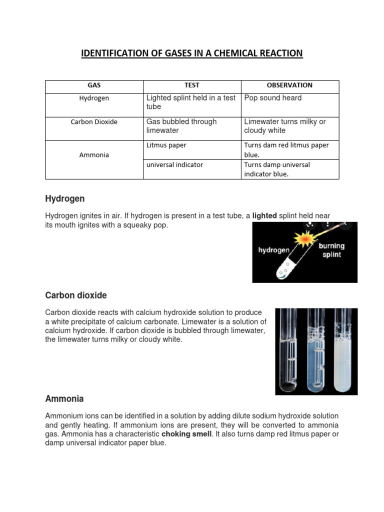 Identification of Gases in A Chemical Reaction | PDF | Science ...