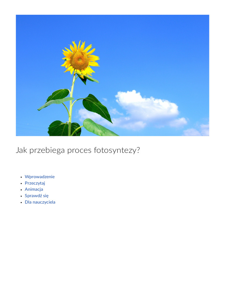 Jak Przebiega Proces Fotosyntezy | PDF