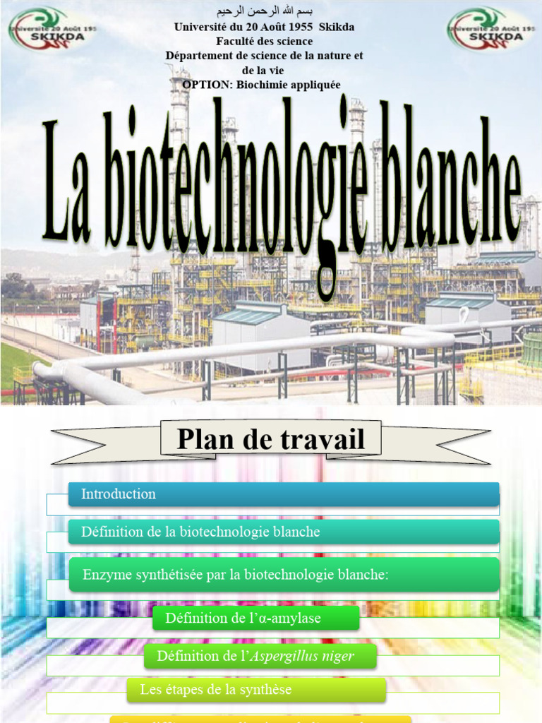 Biotechnologie Blanche 2 | PDF | Biologie