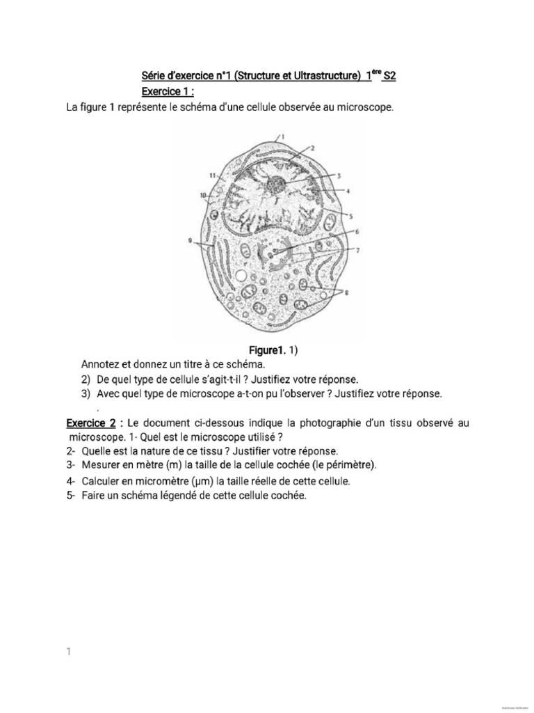 1ère S2 (SVT) | PDF
