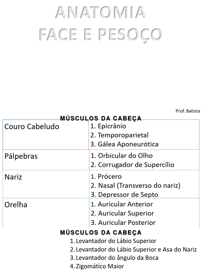 Anatomia dos Músculos da Face e Pescoço | PDF | Rosto | Cabeça e ...