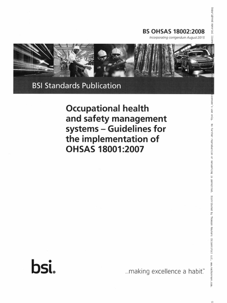 BS-18002-2008-Occ Health and Safety MNGT Syst - Guidlines | PDF