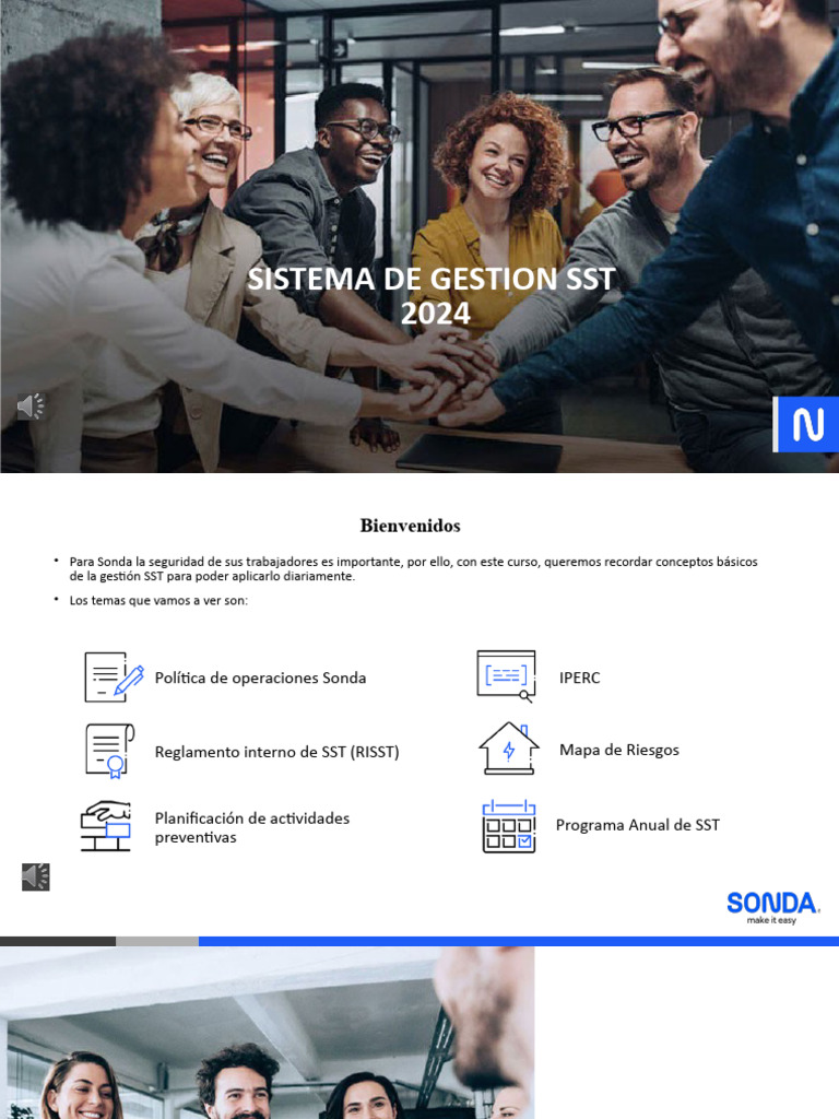 SST 2024 | PDF | Riesgo | Valores
