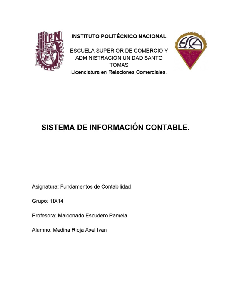 Sistema de informacion contable | PDF | Contabilidad | Business