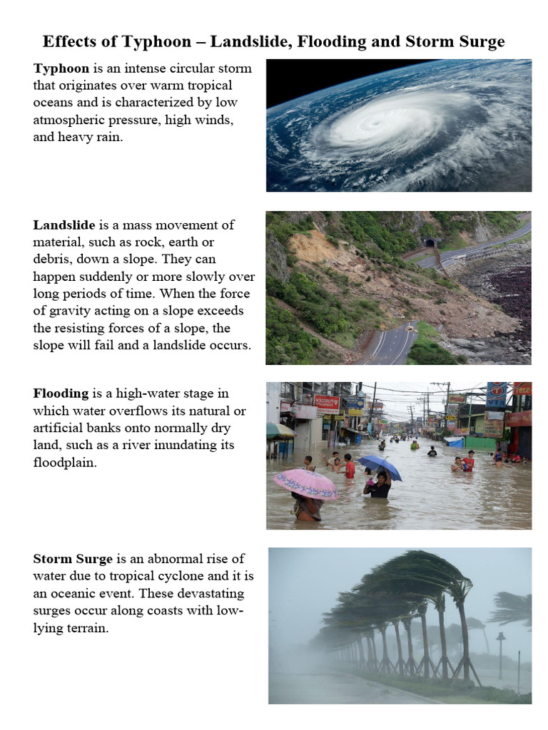Effects of Typhoon | PDF