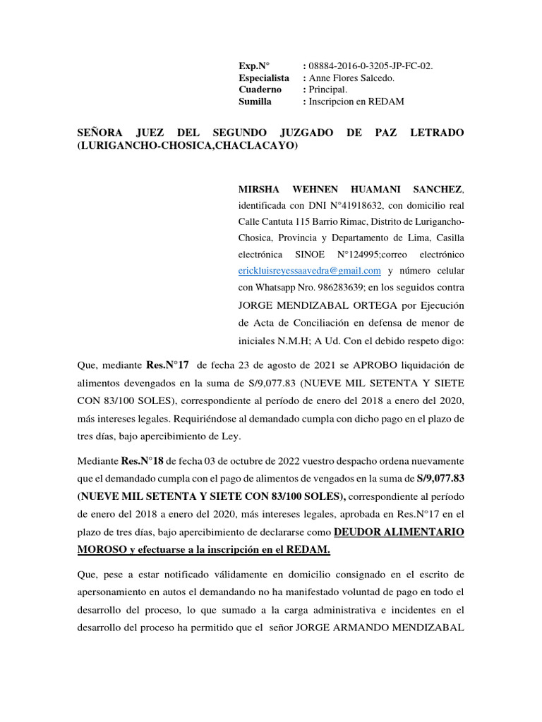 Solicitud Inscripcion Redam | Descargar gratis PDF | Gobierno