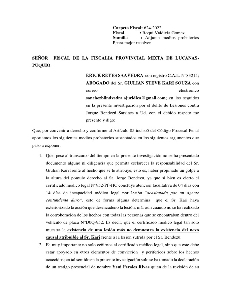 Adjunta Elemtos Probatorioas para Mejor Resolver - Caso Giulian Steve | PDF | Justicia | Crimen ...