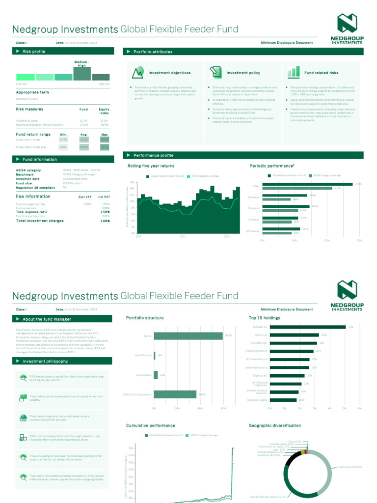 Nedgroup Investments Global Flexible Feeder Fund R | PDF | Investment ...