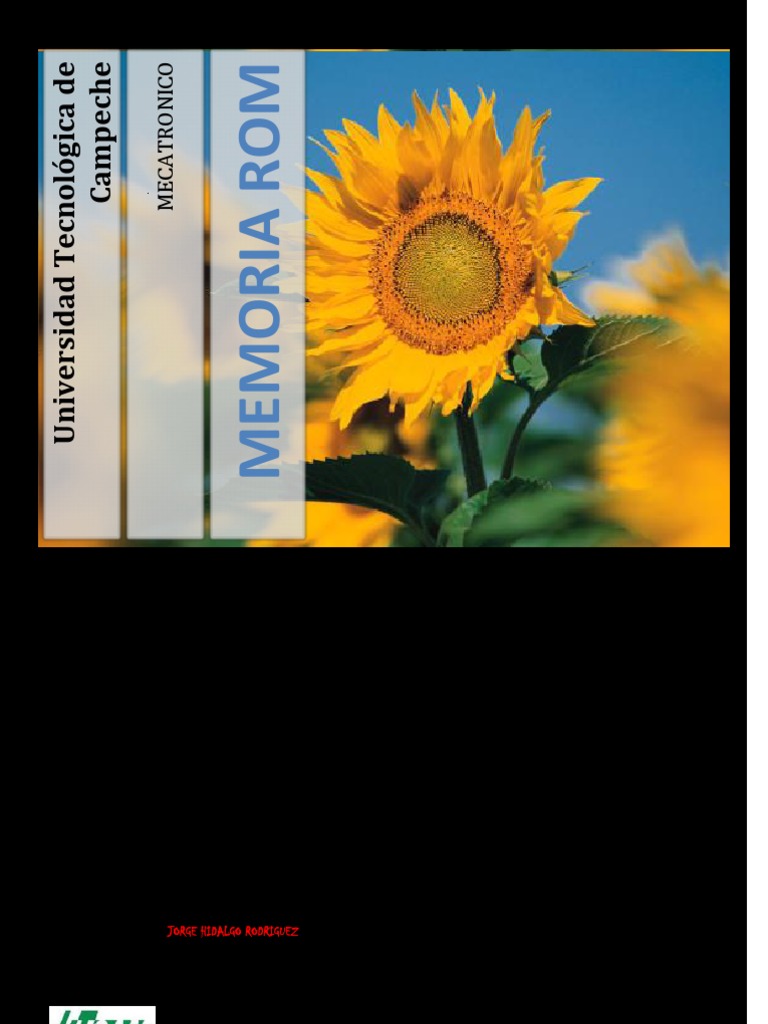 Memorias Rom y Tipos | PDF | Memoria de sólo lectura | Memoria del ...