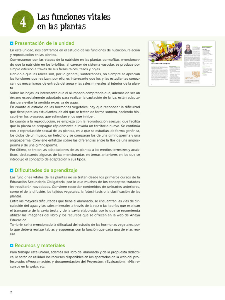 Unidad 4 Funciones Vitales en Plantas | PDF | Plantas | Raíz