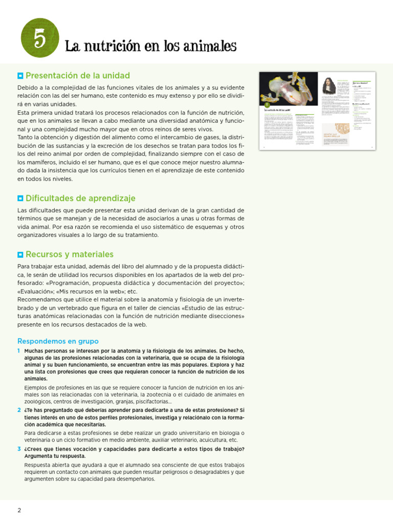 Unidad 5 Nutrición Animal | PDF | Digestión | Excreción