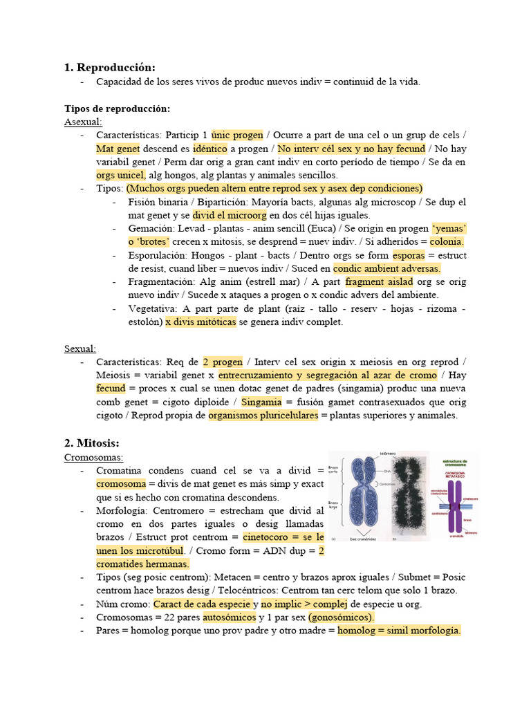 Biología celular parcial 2 parte 2 | PDF | Mitosis | Dominancia (Genética)