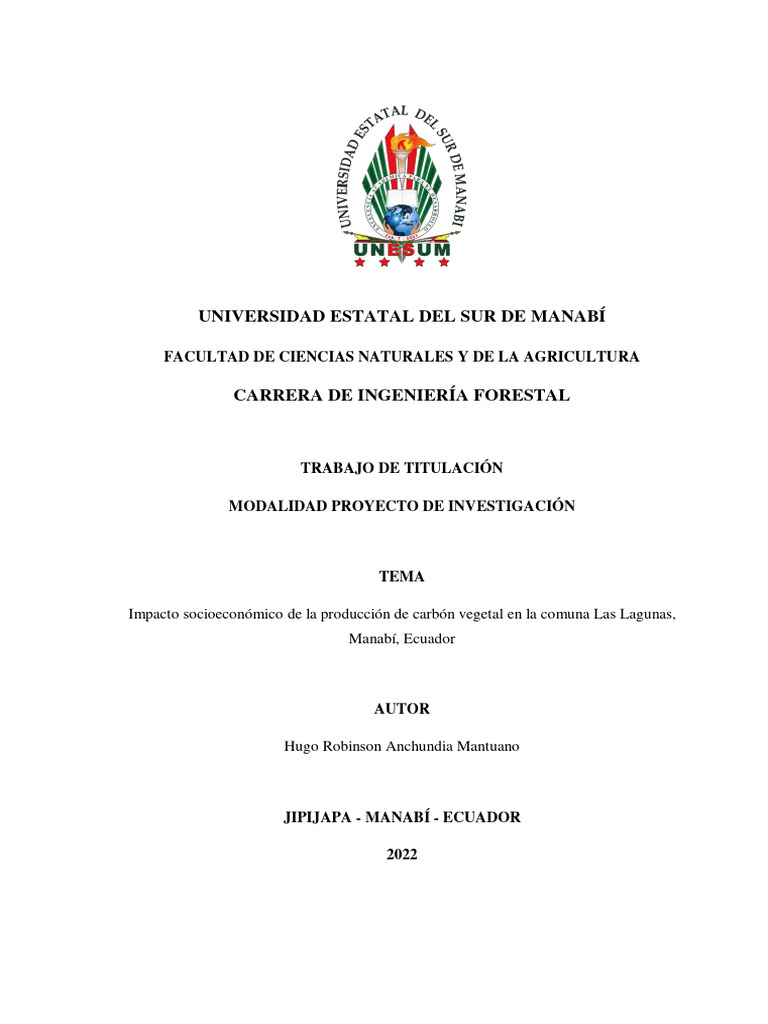 Anchundia Mantuano Hugo Robinson | PDF | Pirólisis | Biomasa