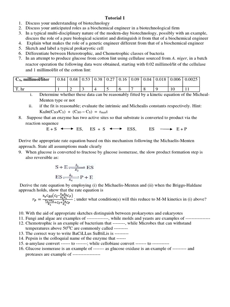 CHEN 509 Tutorial Revised_2024 | PDF | Enzyme | Chemistry
