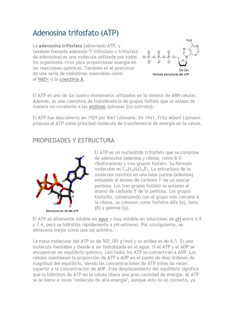 Adenosina Trifosfato (ATP) : Propiedades Y Estructura | PDF ...
